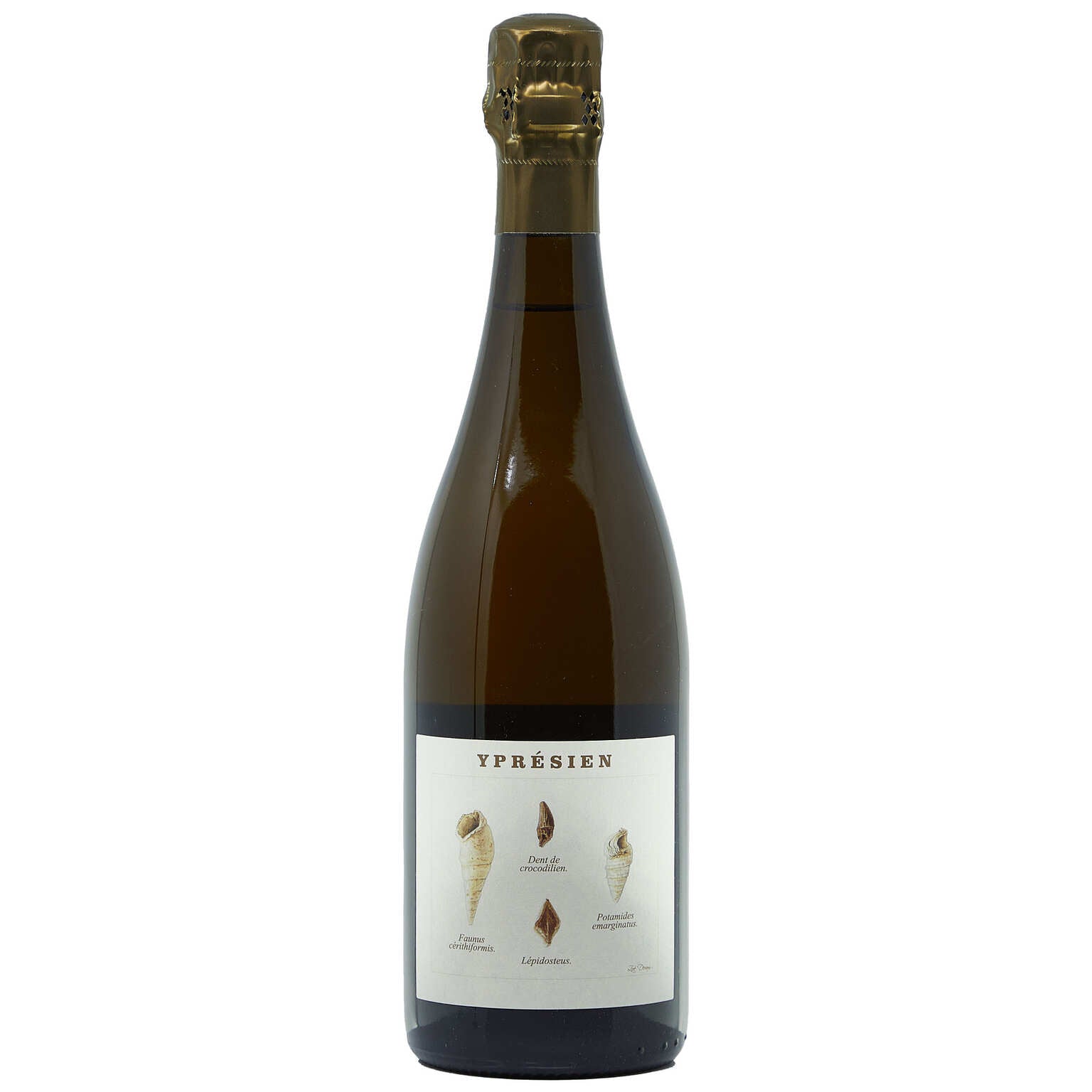 2018 Legrand Latour, Ypresien, Champagne – Thatcher's Wine